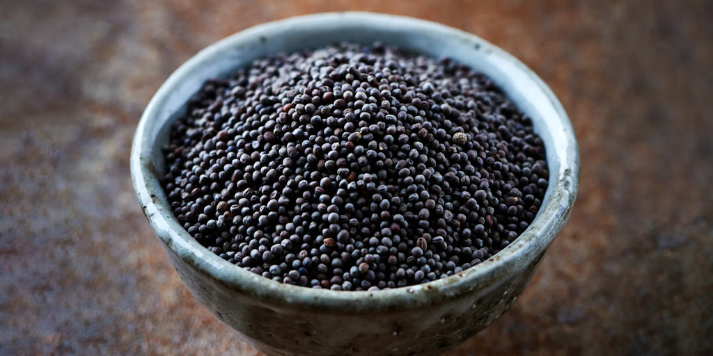 Sabza seeds health benefits in summers