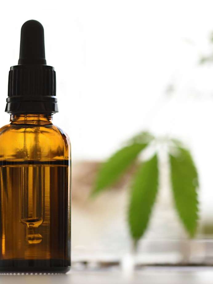Plant-Based Oils For Healthier Hair | Onlymyhealth