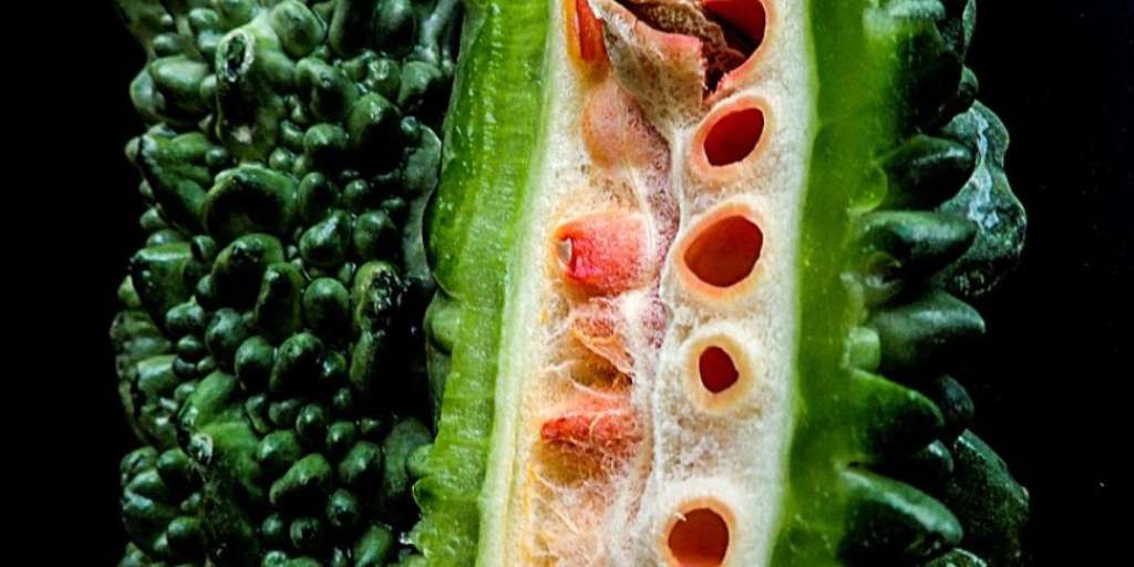 Incredible Benefits Of Bitter Gourd For Diabetic Patients | OnlyMyHealth